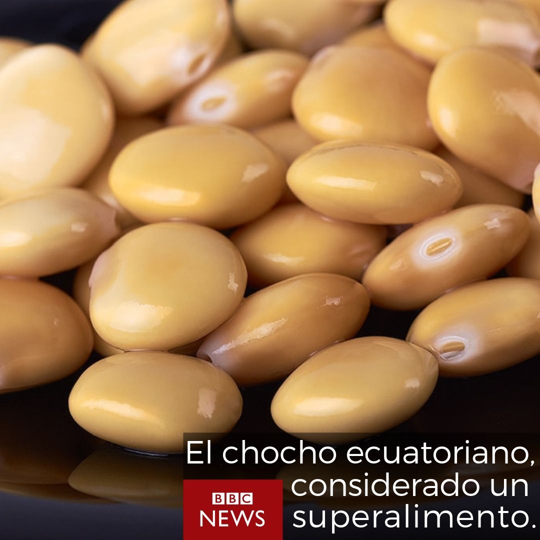 Beneficios del Chocho: La Soya Andina del Ecuador | La Cueva Fitness Center